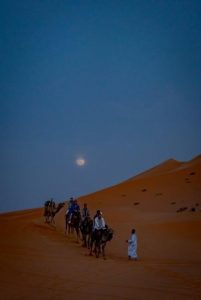 FFXI DNC Guide: Tips, Tricks, and Strategies